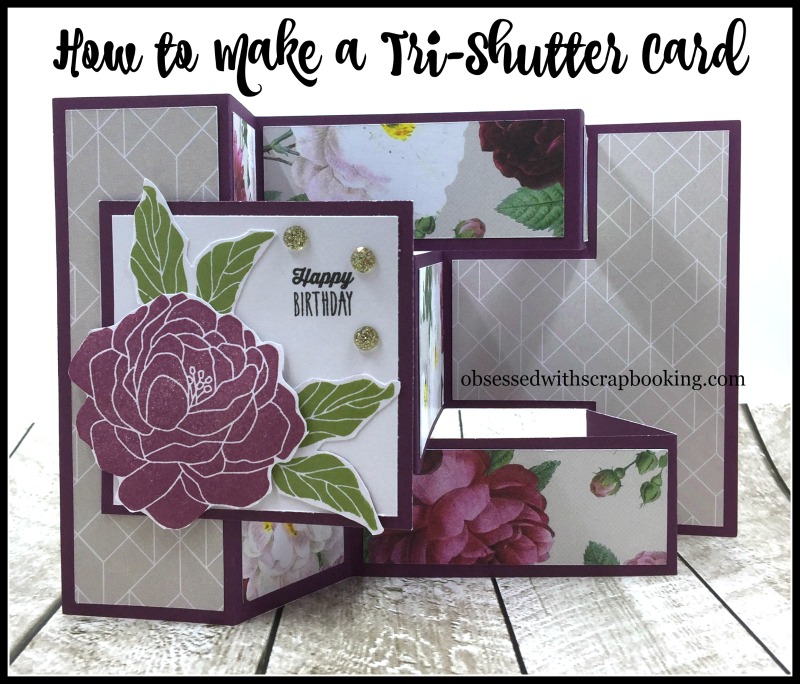 Obsessed with Scrapbooking: [Video]How to Make a Tri-Shutter Card!