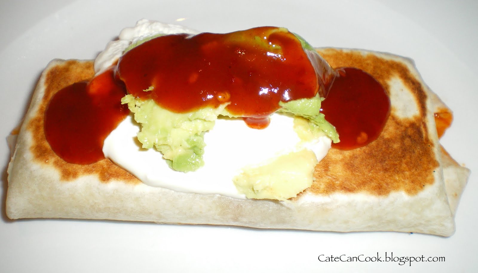 Cate Can Cook, So Can You!!: Shredded Chilli Beef Burritos