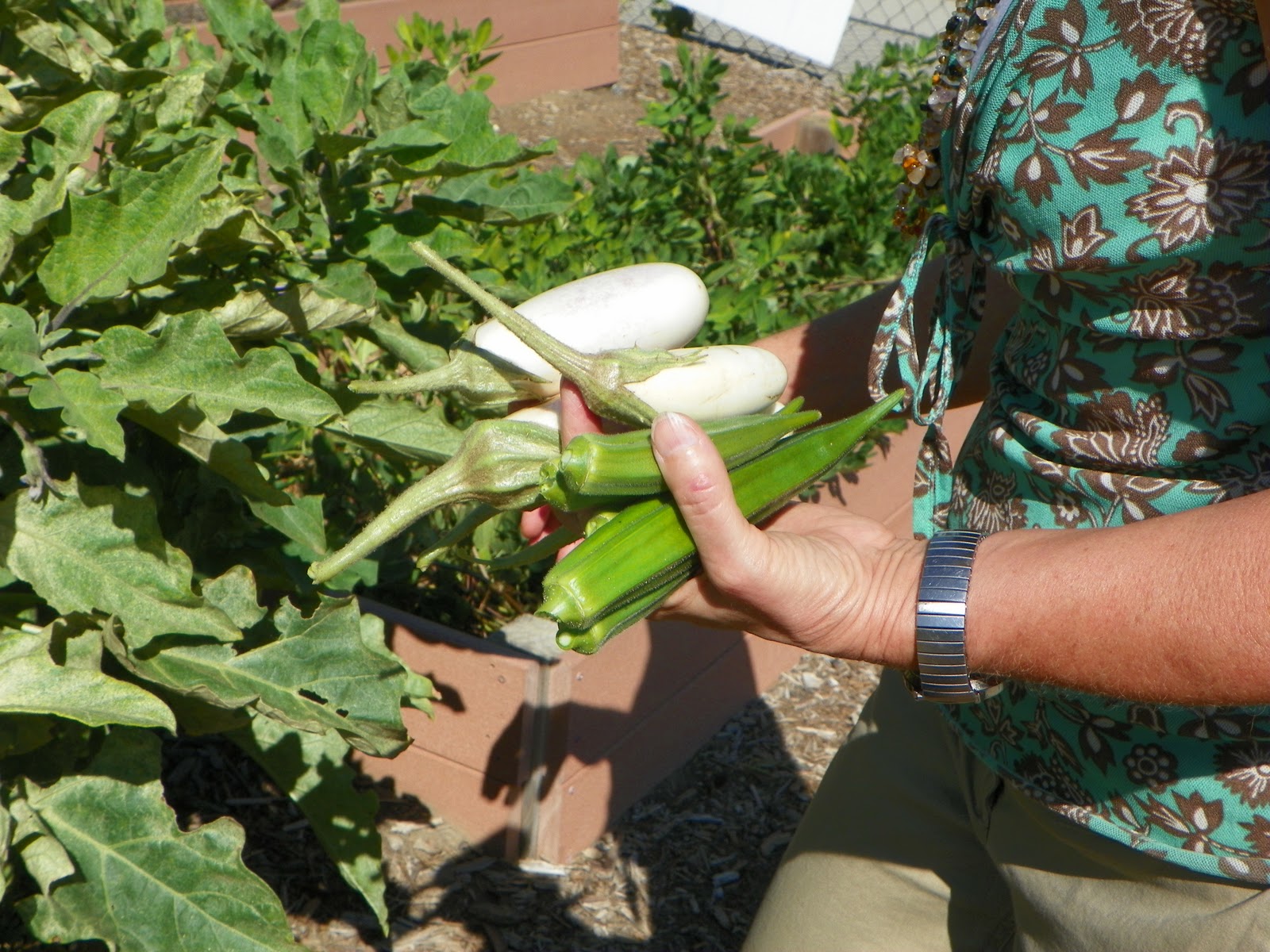 Inland Empire Utilities Agency's Water Education Programs: Stork ...