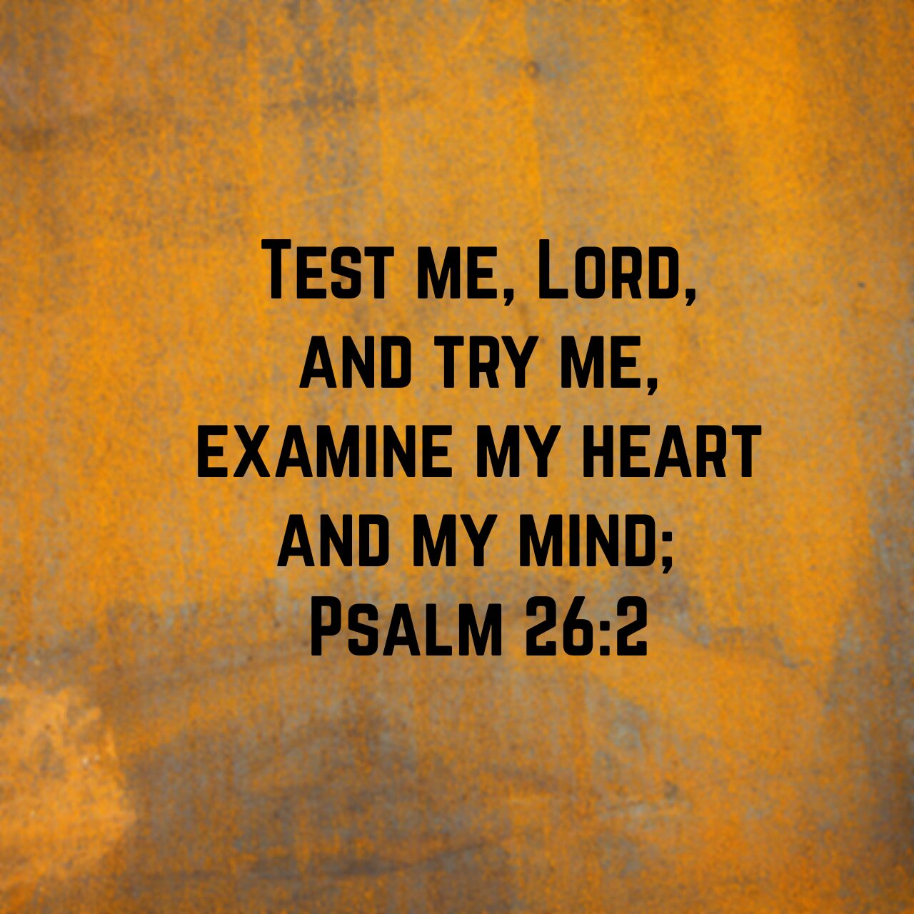 First Fruits of the Day: Psalm 26:2 - Test me