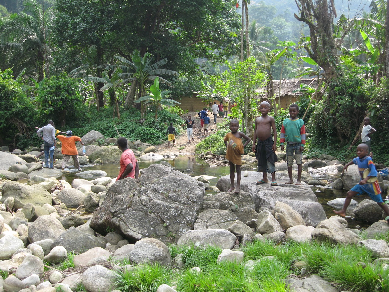 Bee Keeping in UK and Africa: An English Doctor looks at Health issues ...