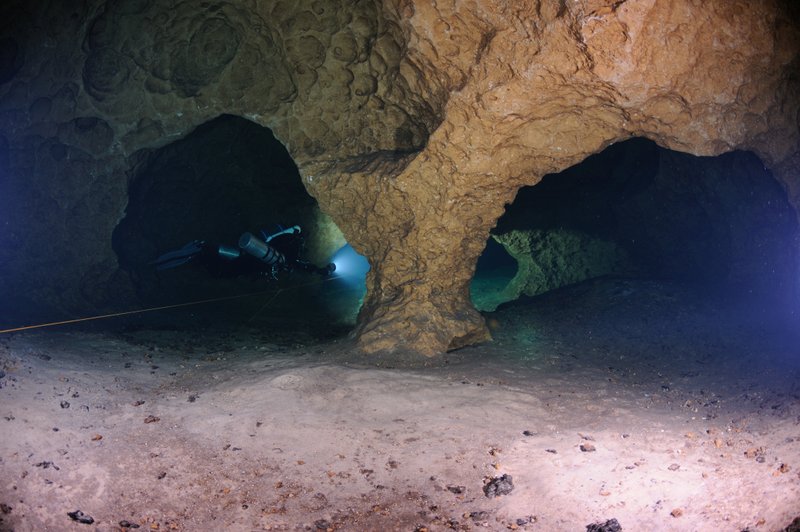 States of Immersion - A Florida Cave Diving Adventure: The Grand ...