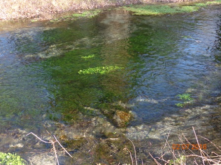 Caledonia Spring Creek: To serve as a central resource for the ...