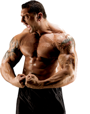 WWE | SMACK DOWN | RAW: batista | david batista | batista wrestler ...