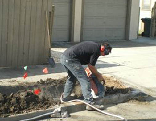 Ventura River Ecosystem: Ventura Curb Cut