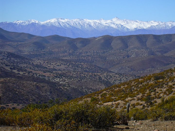 Aprender Viajando ...: Arte rupestre de El Coligüe (IV Región-Chile 2004)