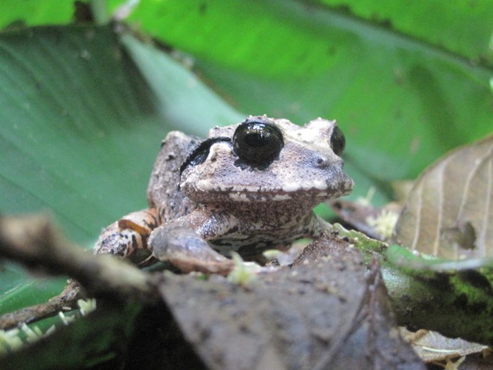 a welcome bienvenidos sign on the side of a room and children playing ...