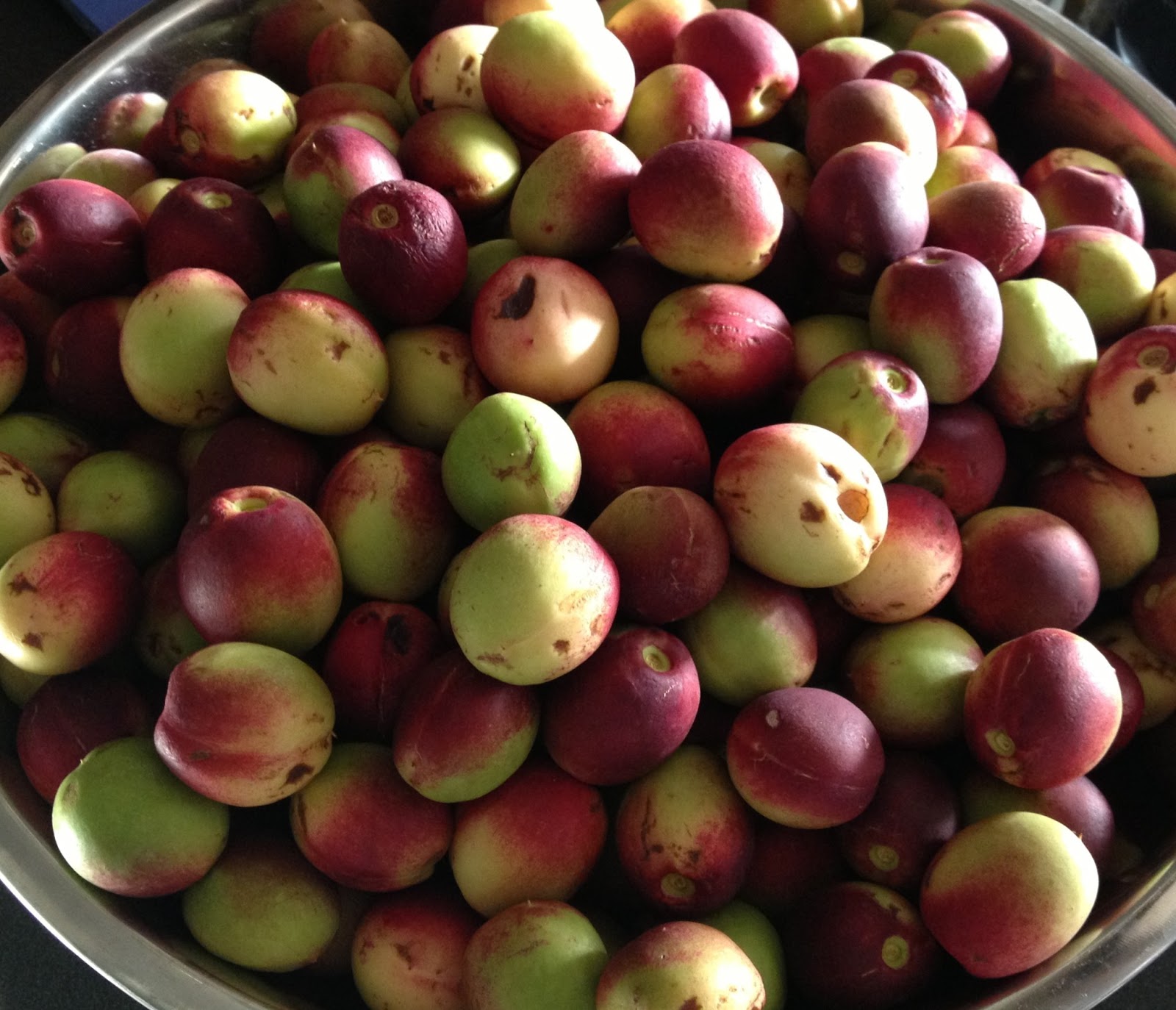 Little Peaches and Nectarines - The Greening of Gavin