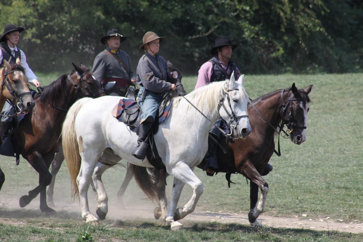 Michigan Exposures: The Jackson Civil War Muster - Cavalry Demonstration