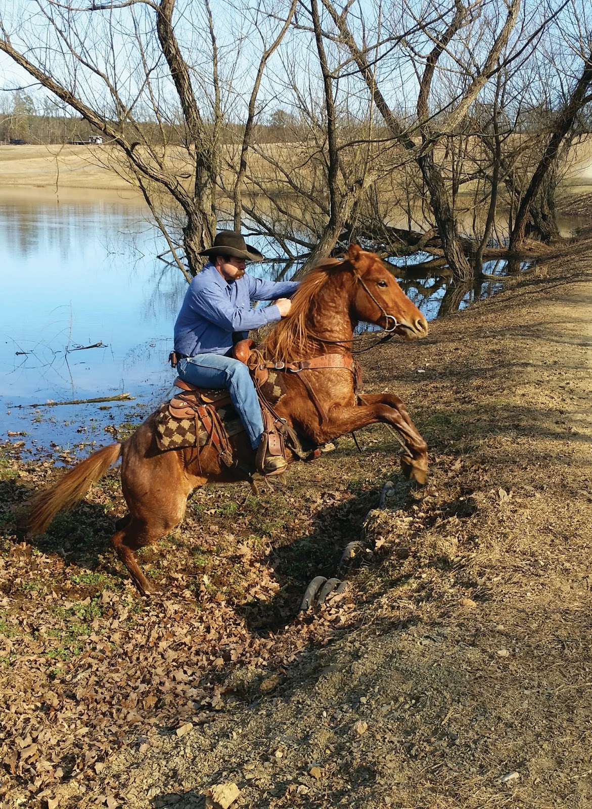 Mules and More Magazine: Mules and More's 7th Annual Trail Riding Index