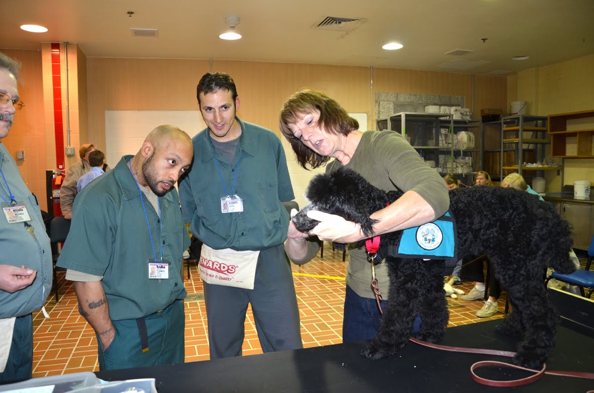 PRISON DOG PROGRAMS ~ BRIDGES and PATHWAYS of COURAGE