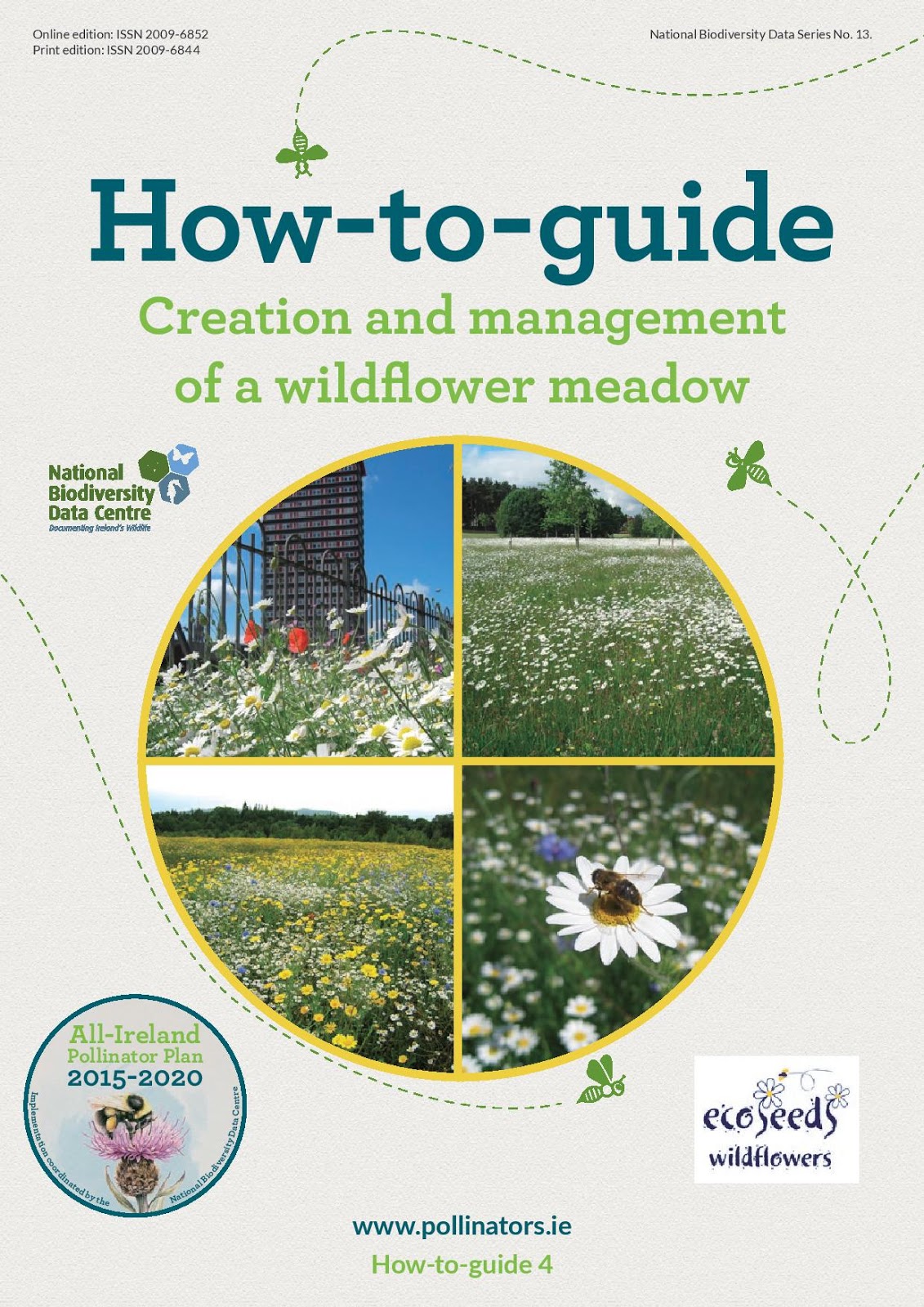 5 Key points for creating wildflower meadows.