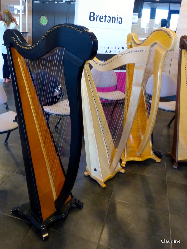 Le retour chez Canelle: Harpe celtique