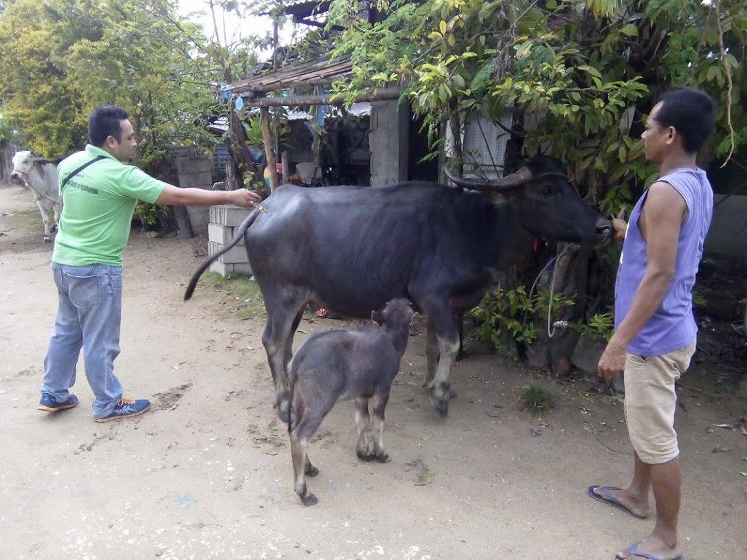 paghahayupan - philippin news collections