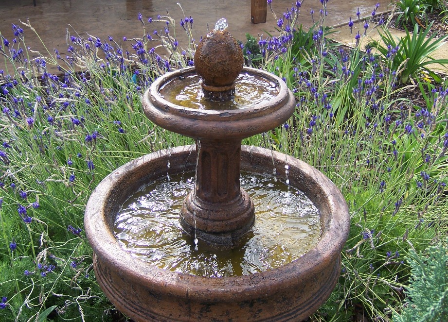 The 2 Minute Gardener: Photo - Water Fountain with Fern Leaf Lavender