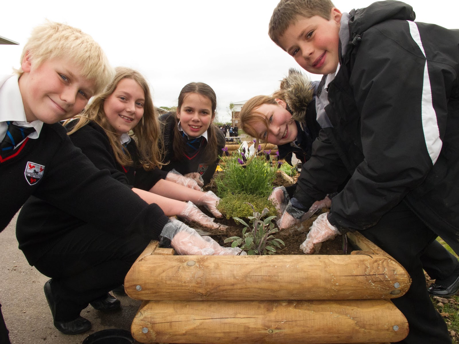 Eco-Schools at Cowbridge Comprehensive School : May 2013