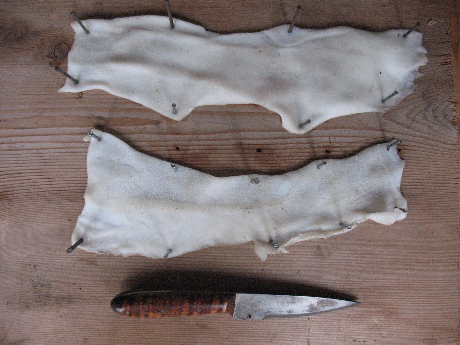 Sensible Survival: Quick and Easy Rawhide for Urban Dwellers