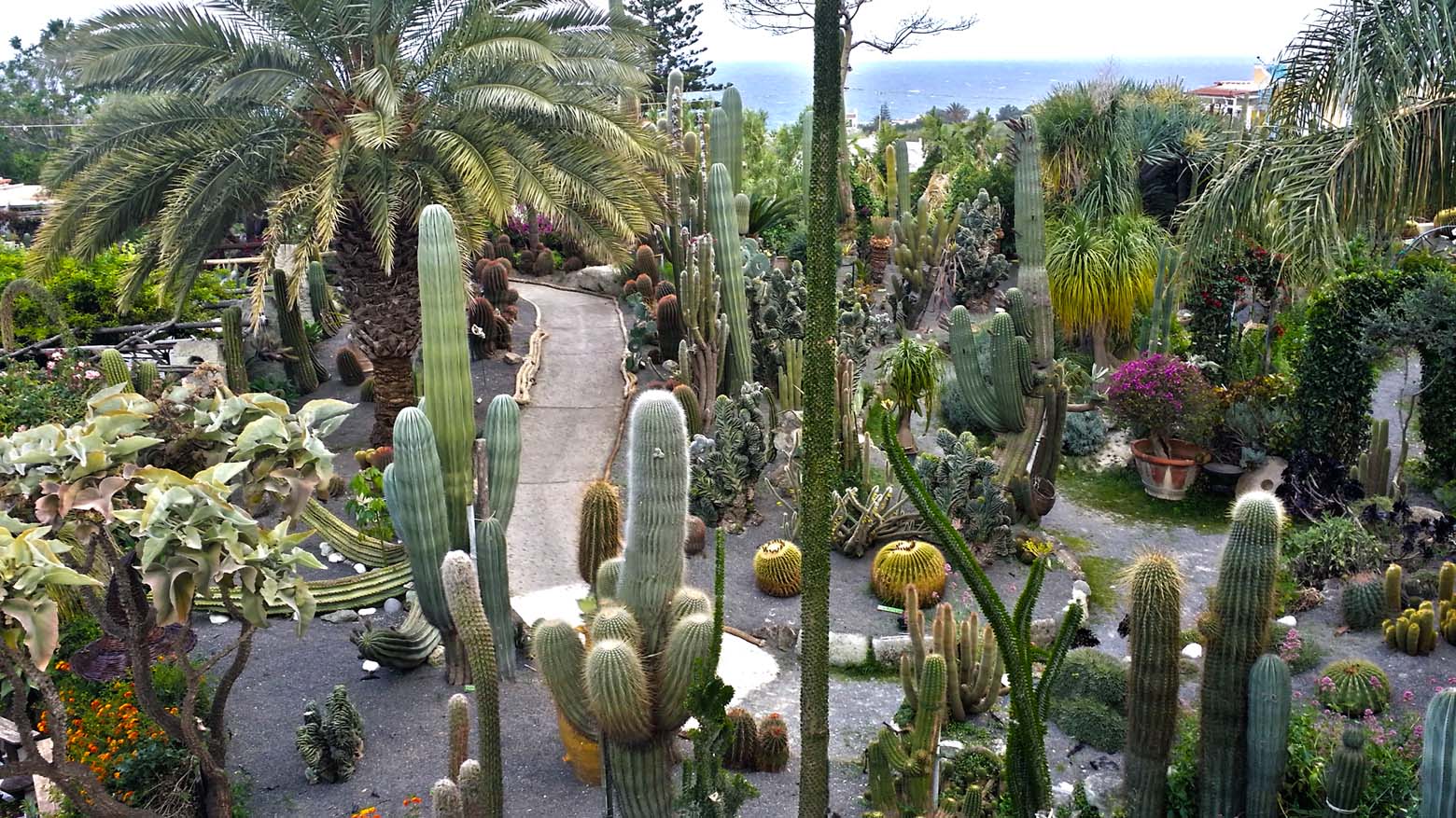 Ischia Residence, Ravino: un Giardino Botanico extravaganteIschia ...