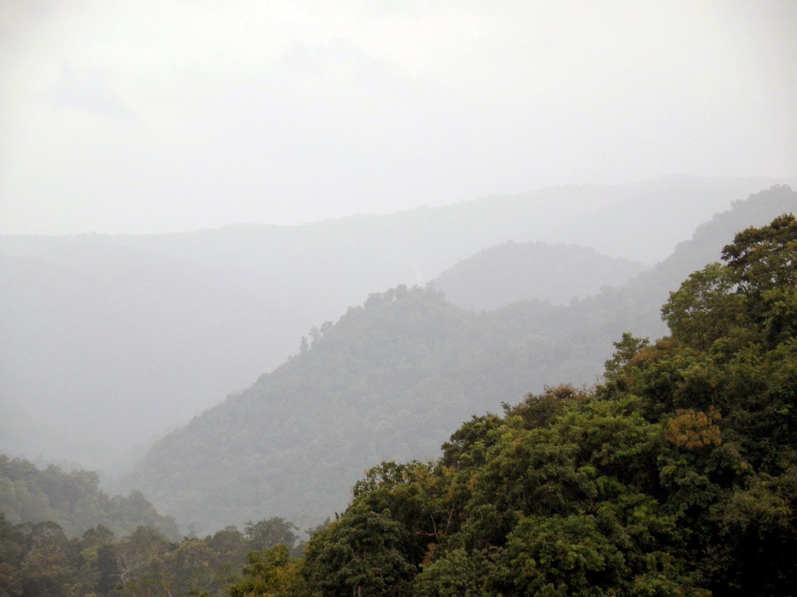 Anshi National Park Sirsi Attractions