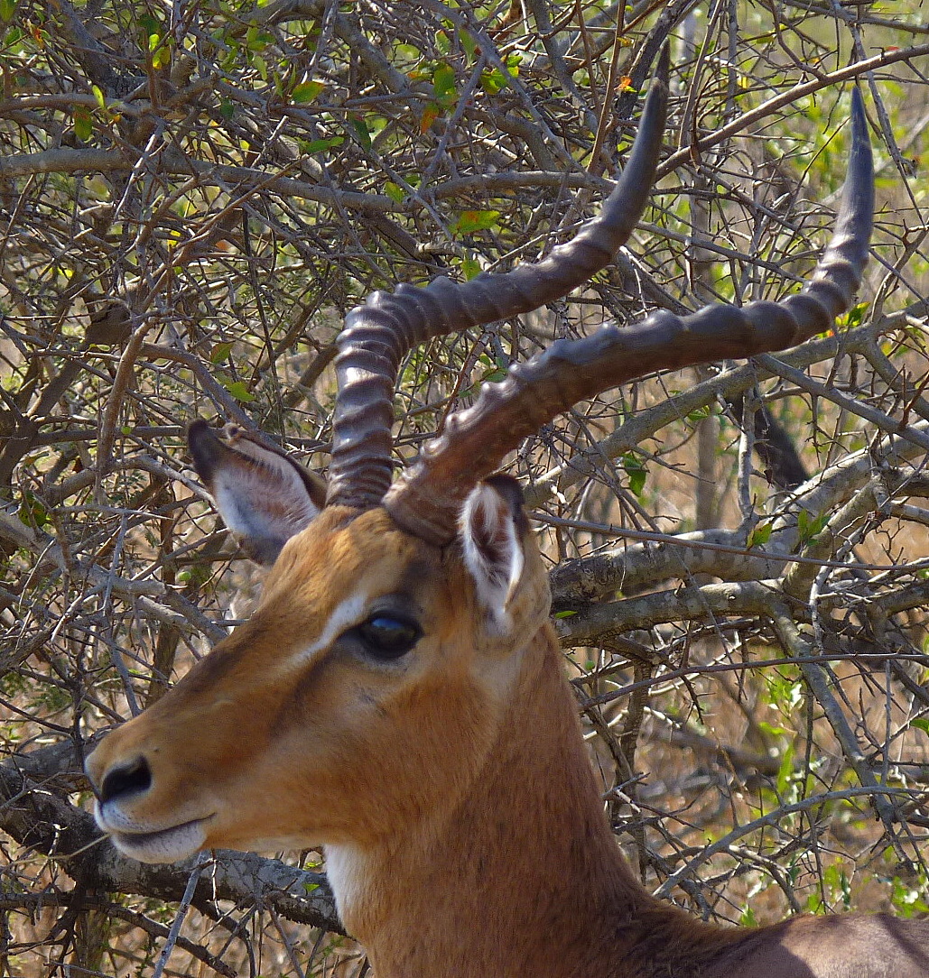 Birding For Pleasure: SUNDAY THOUGHT
