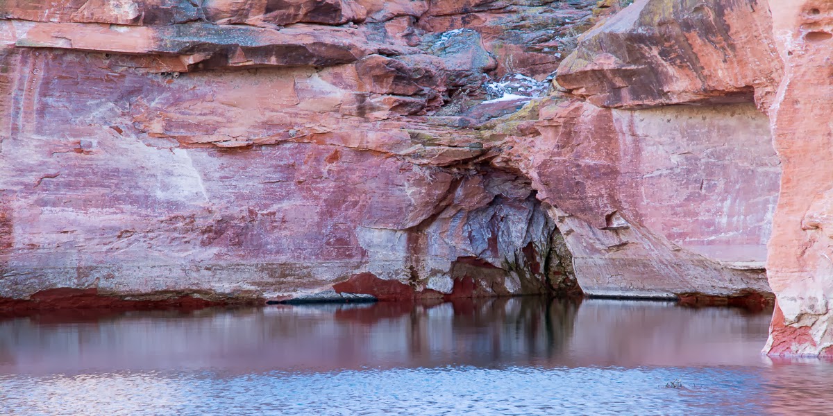 A Tree Falling: Two Buttes Reservoir State Wildlife Area