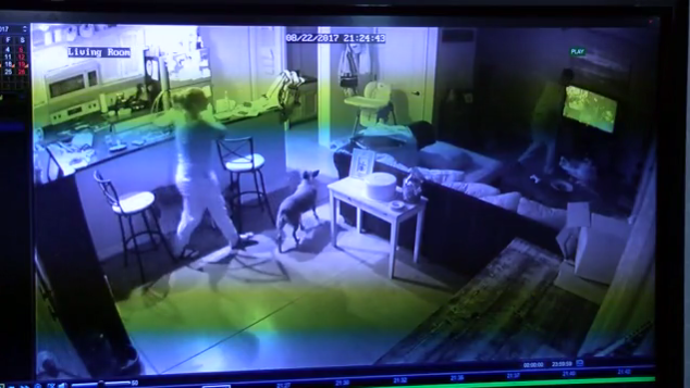 National Paranormal Association: Couple claim to have capturesd a ghost ...