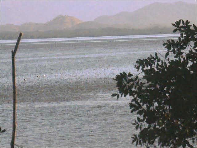 Welcome Isla de Chira, COSTA RICA.