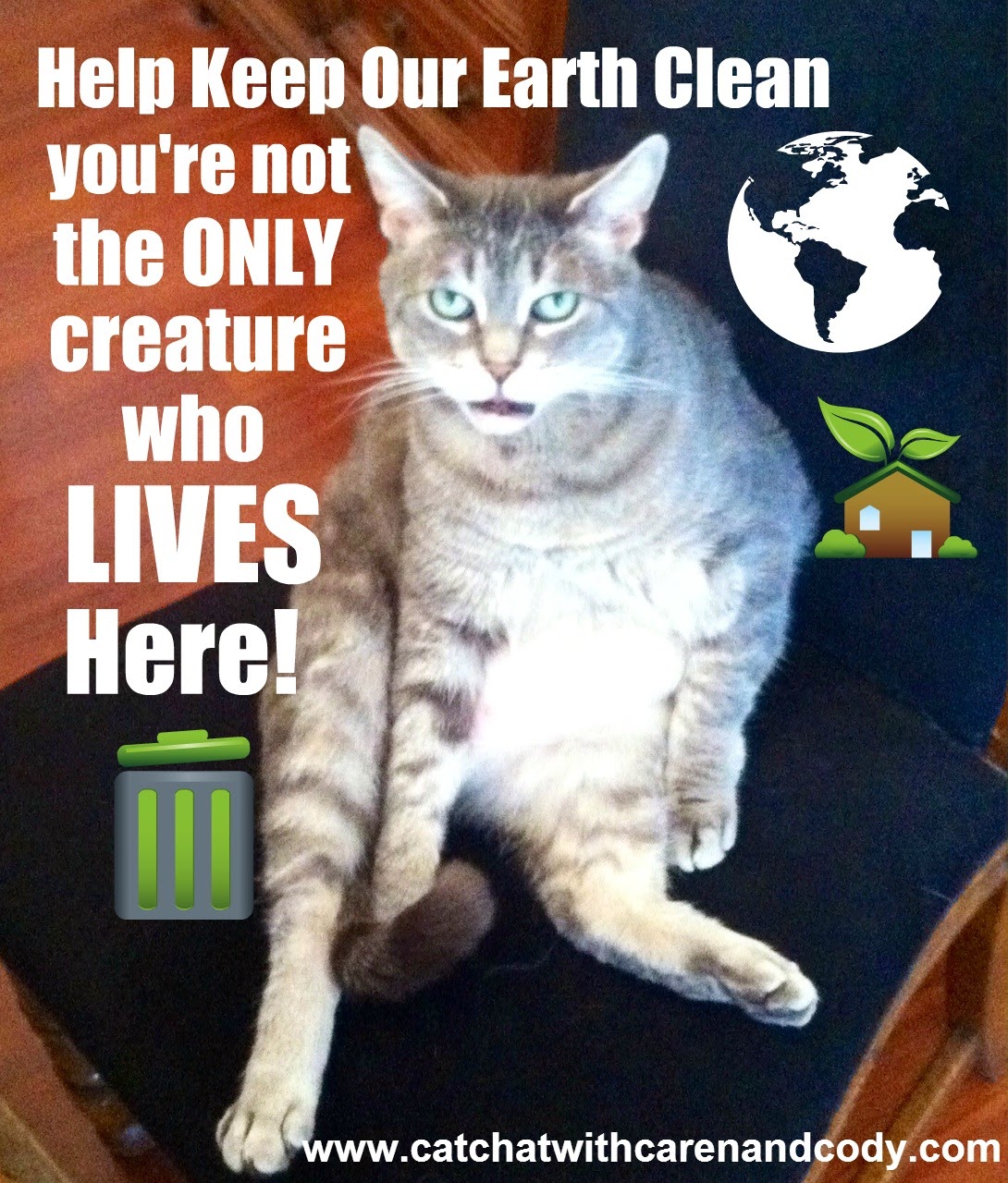 Cat Chat With Caren And Cody: Clean up your act for Earth Day!