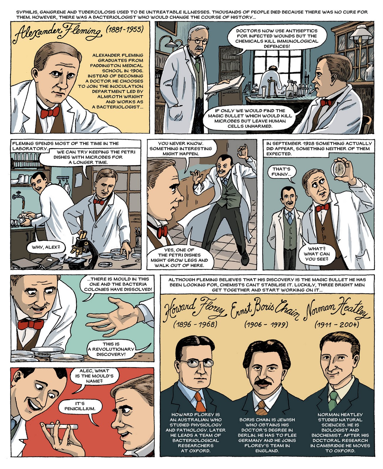 Lucie Lomová: Alexander Fleming