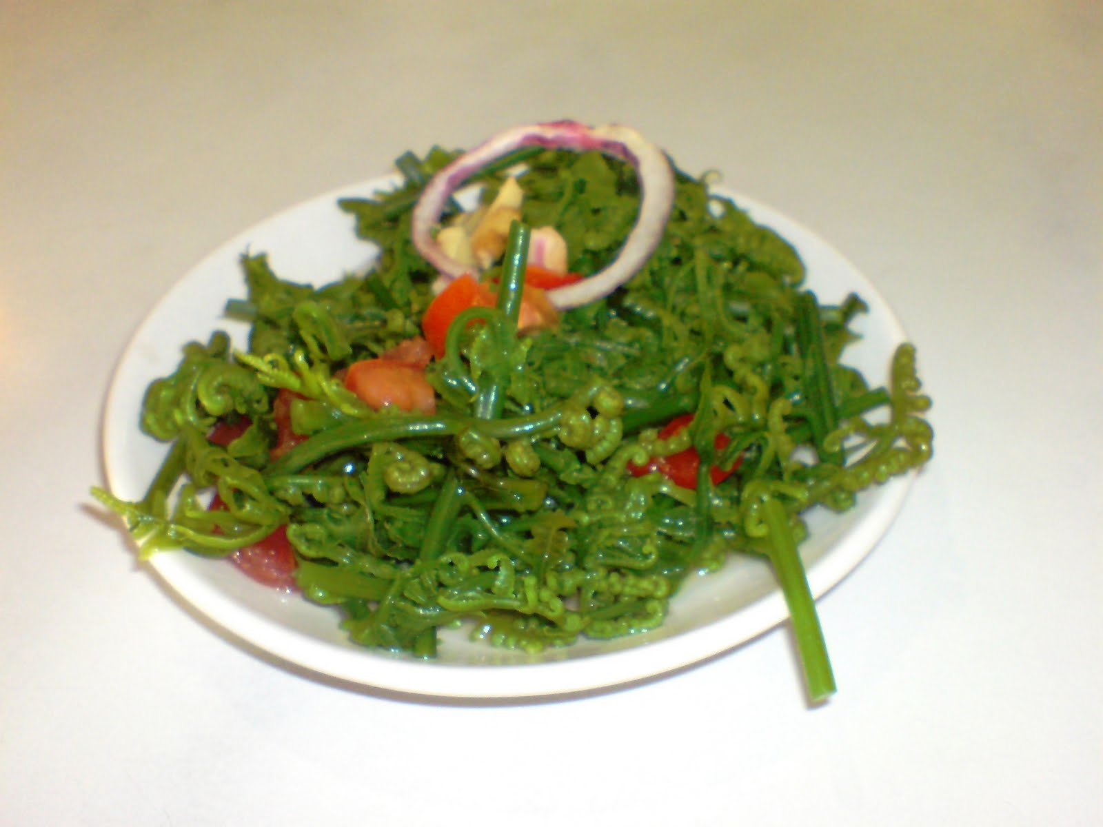 How I Wandered Off For 8 Days : PART 1 - Journey to Camiguin