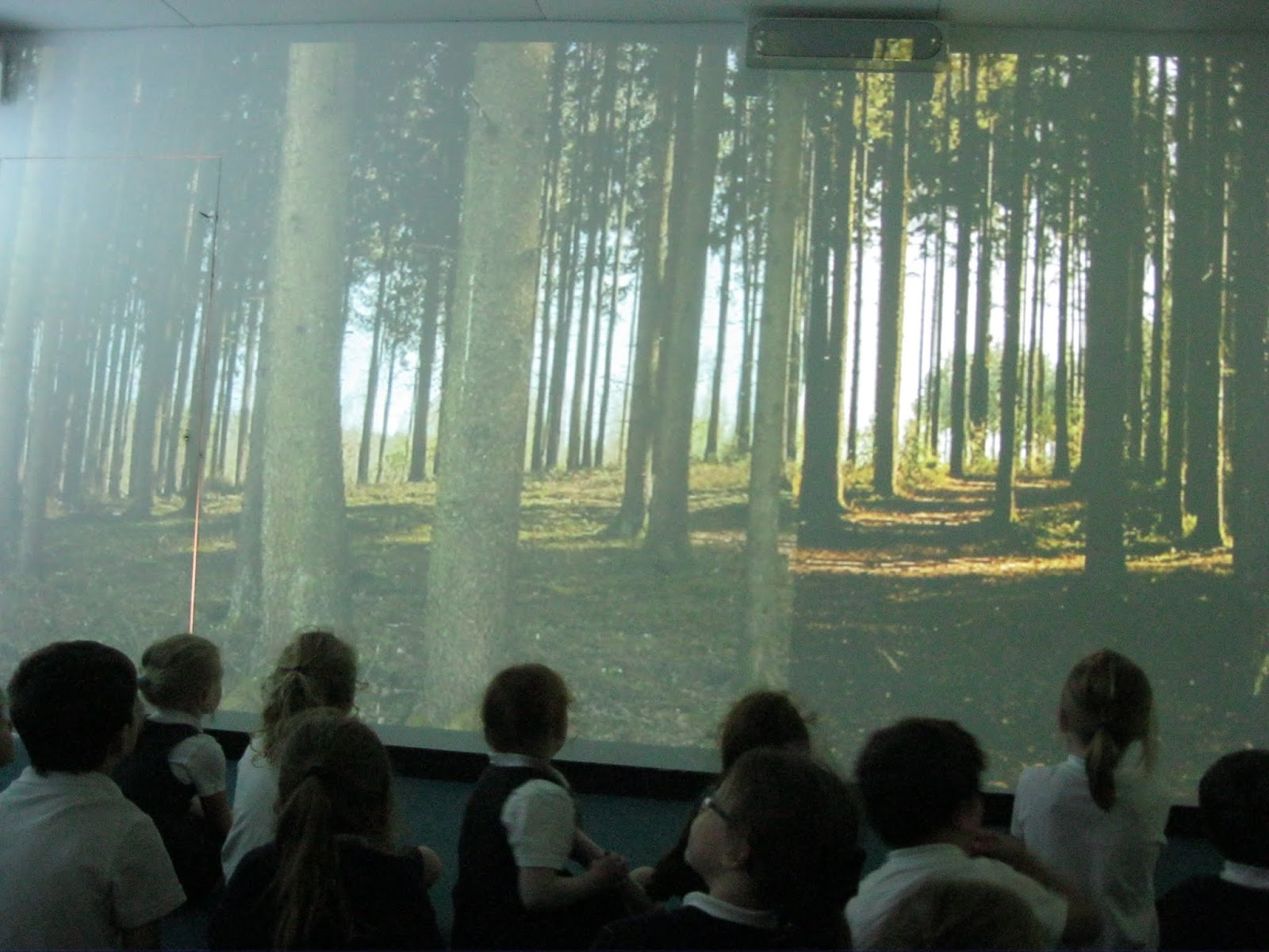 Windhill21: Year 1 visit the forest - in the immersion room