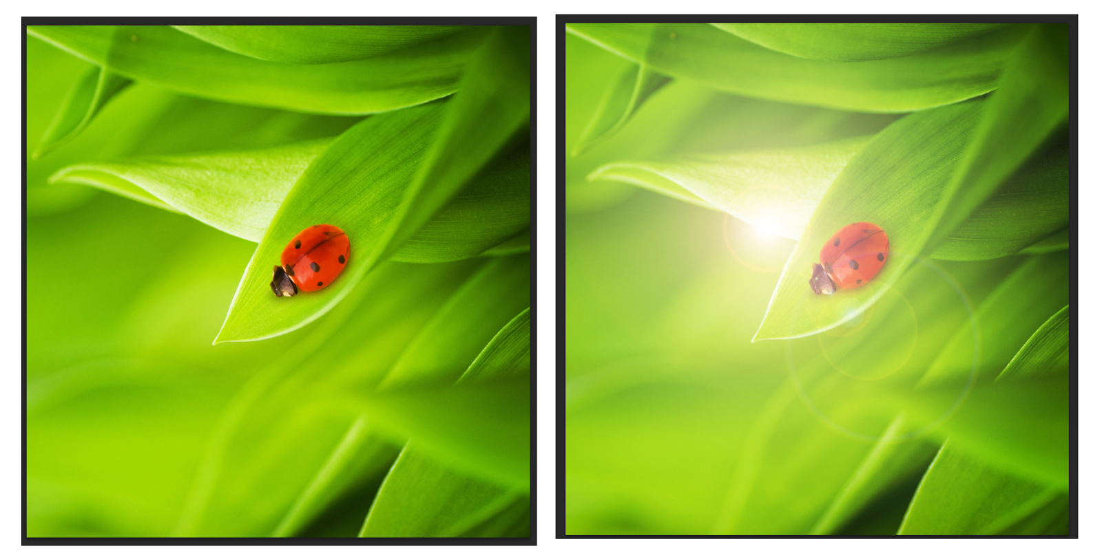 Mytutz HOW TO CREATE LENS FLARE IN PHOTOSHOP mytutz-how-to-create-lens-flare-in-photoshop
