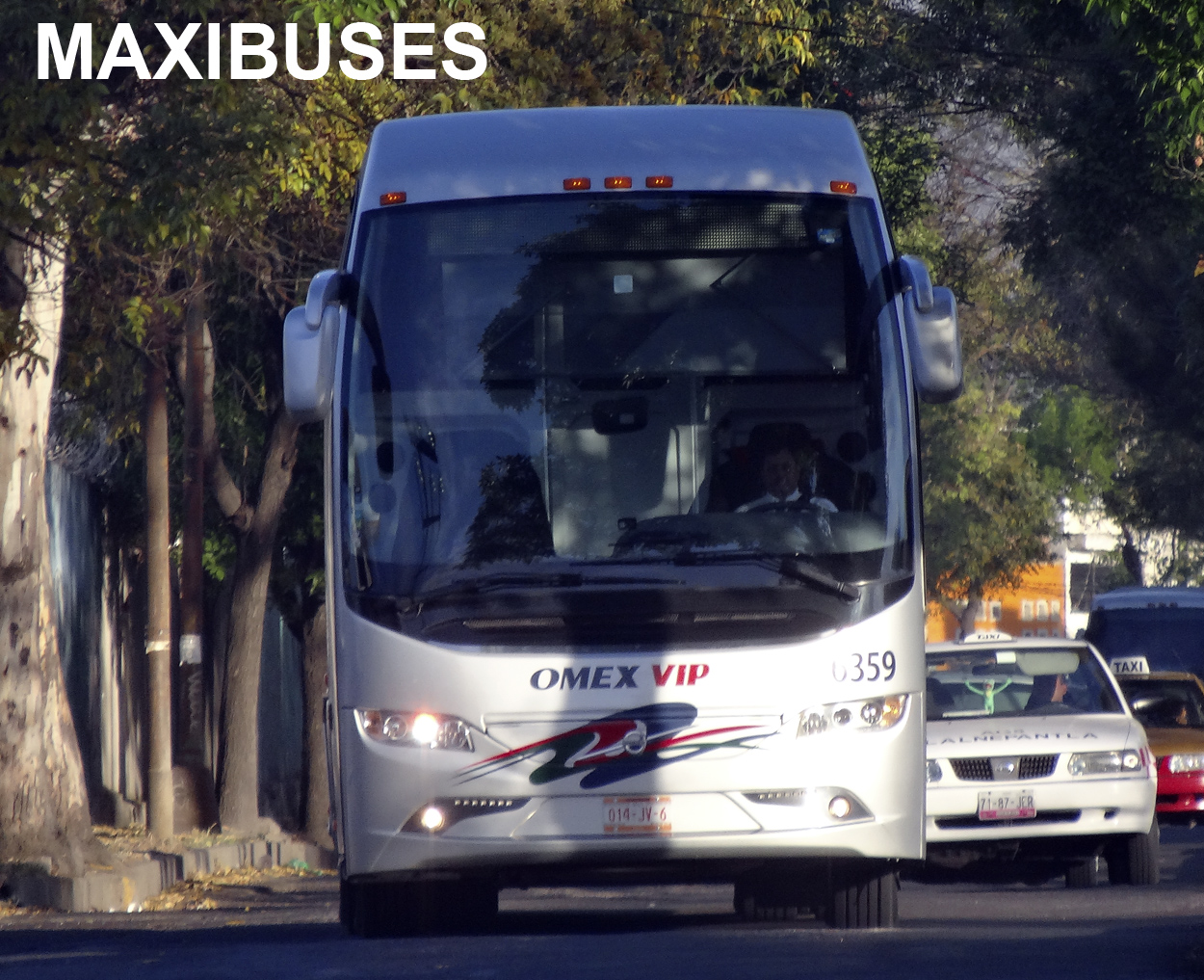 MAXIBUSES: OMNIBUS MEXICANOS - OMEX VIP