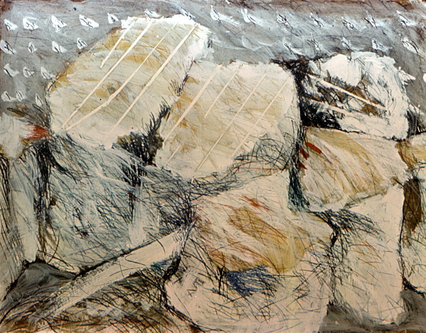 ALMANAH EUTERPE - ART REFLECTIONS: VASILE TOLAN - EXPERIENŢĂ ŞI EXPERIMENT