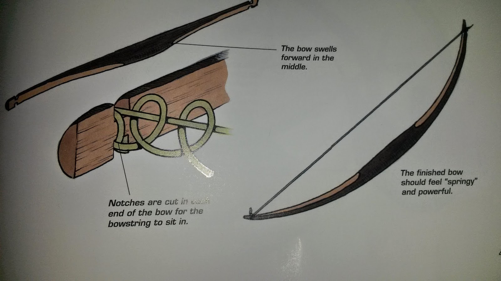 Scouting For Everyone: How to Make a Bow and Arrow