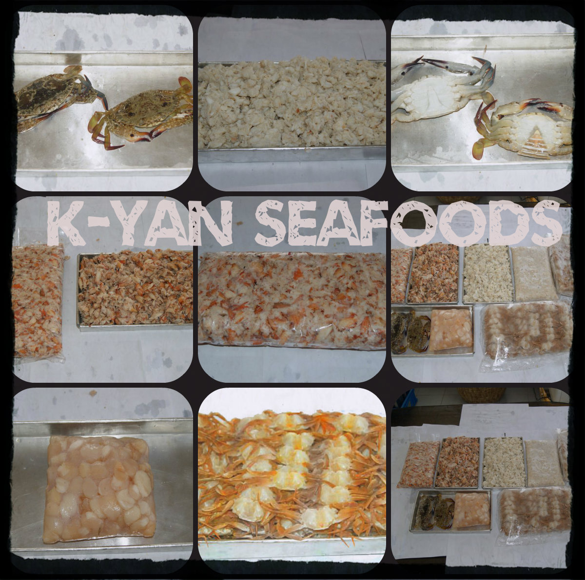 Seafoods in the Philippines. Seafoods from Visayas.