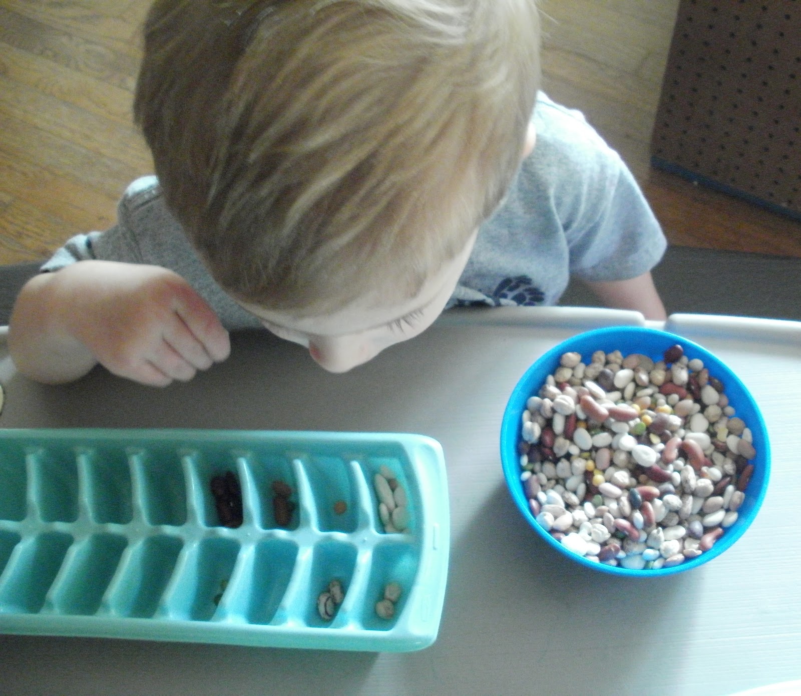 Little Stars Learning: Seeds! Seeds! Seeds! Book Activity #1 Seed Sorting