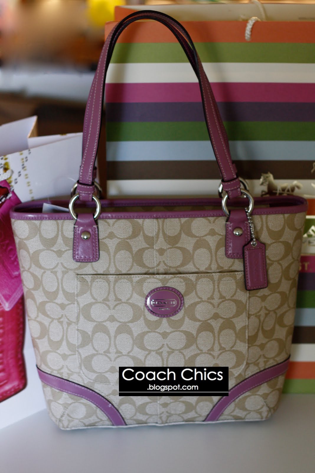 Coach Chics: SPECIAL MONDAY- CHELSEA NEW COLLECTION