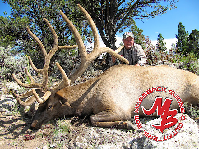 A3 Trophy Hunts LLC : Another GIANT AZ Bull!! Congrats to Pete Shepley!!