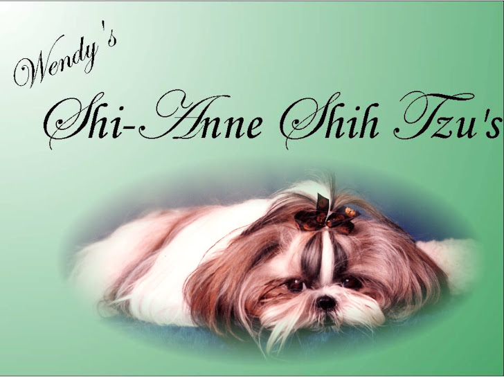 Wendy's Shi-Anne Shih Tzu's: Chinese Imperial Dogs ~ The Shih Tzu