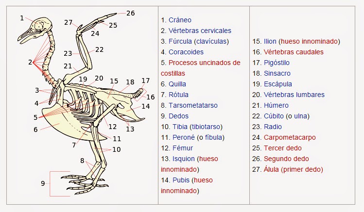 Naturaleza Viva : abril 2015