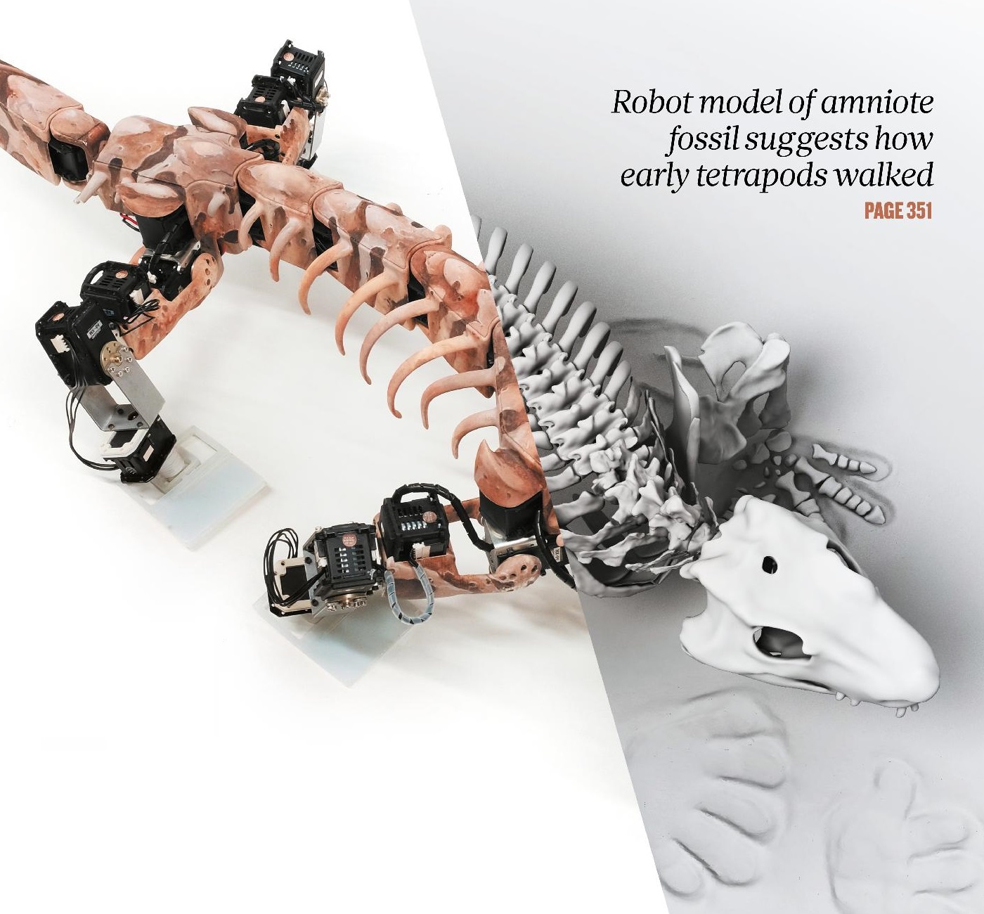Species New to Science: [Paleontology • 2019] Reverse-engineering the ...
