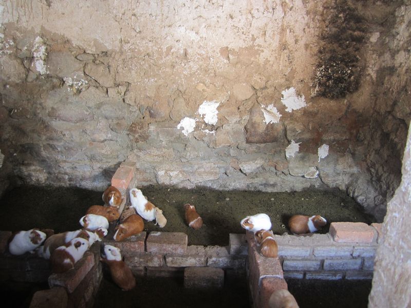 Sarah en Perú: Chillen! Tarma? Ok, wenns sein muss!