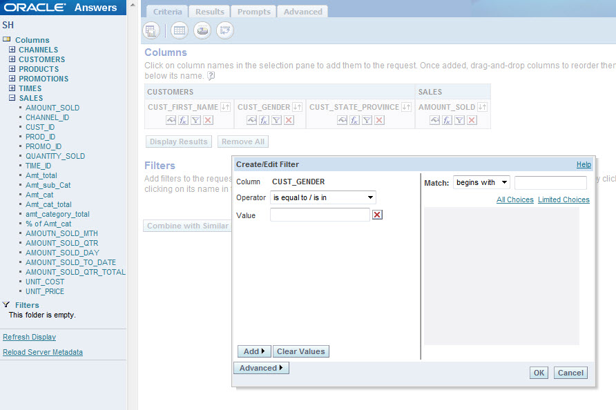 Obieebyexample How To Filter Data In Obiee 10g