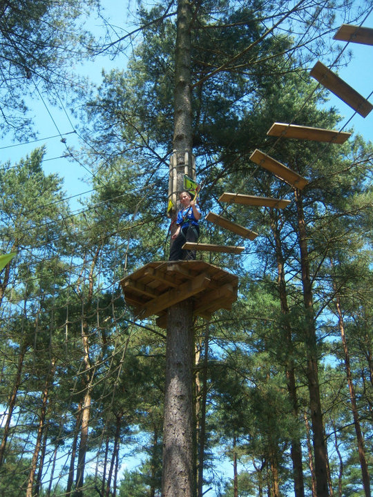 Monkey around at Go Ape - chelseamamma.co.uk