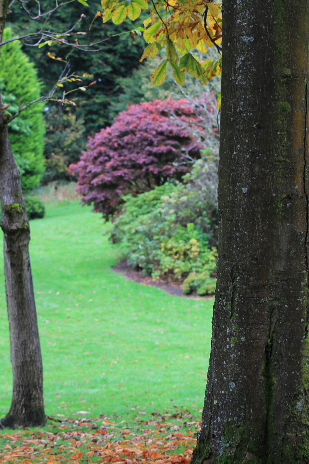 schiehallion: Lennox Estate IV