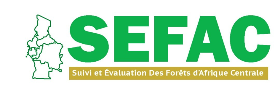 Projet SEFAC : 09 bourses d’études bientôt attribuées à des étudiants ...