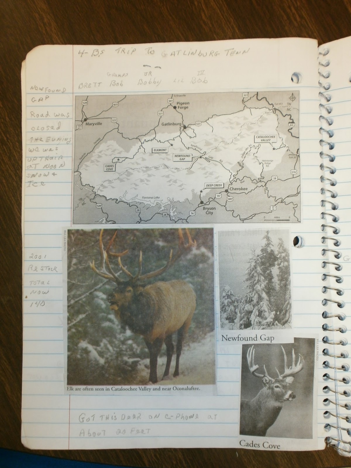 Growing Little Minds: Family Journals