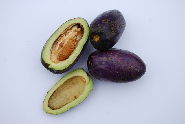 Most Beautiful Countries In The World: Safou/ Ube/ African plum ...