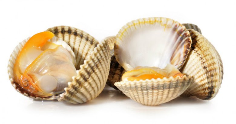 Eetbare Waddenzee: Kokkel (en Kokkels à la Marinière)